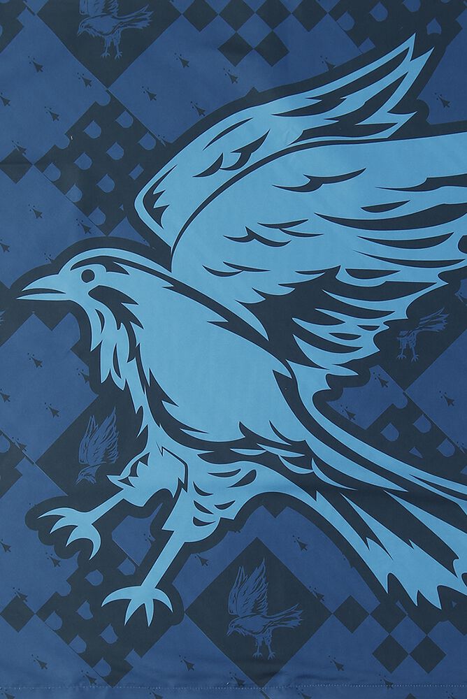 Ravenclaw | Harry Potter Set letto | EMP